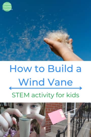 How to Make a Weather Vane with Kids at Home