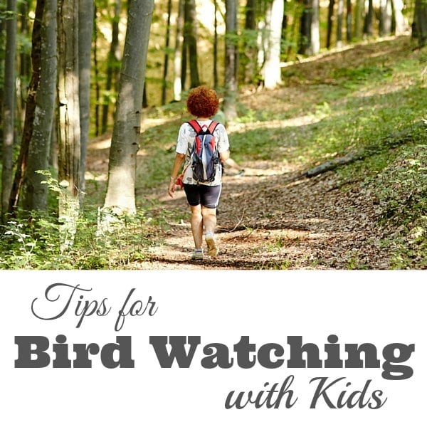Bird Watching With Kids - 7 Steps to a Fantastic Outing