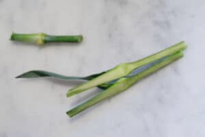 Cool Coloring Carnations Science Experiment for Kids