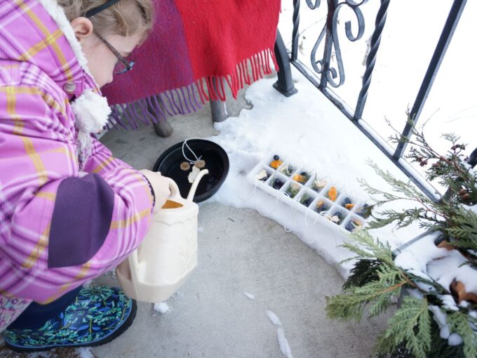 How to Make Beautiful Ice Ornaments