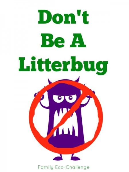 Are Litterbugs a Thing of the Past?