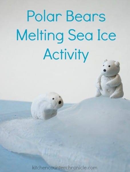 Polar Bear Activity: Melting Sea Ice