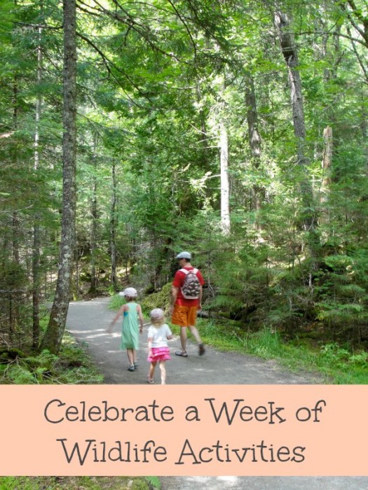 Celebrate a Week of Wildlife Activities