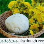 20+ Dandelion Recipes and Dandelion Crafts Guide