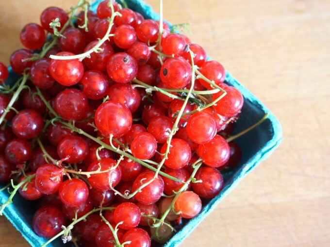 Red Currant Sauce Summer Sundae