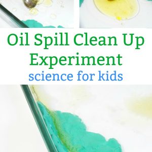 Hands On Oil Spill Clean Up Science Experiment for Kids