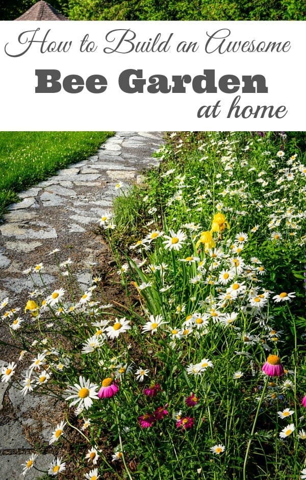 How to Build An Awesome Bee Garden at Home