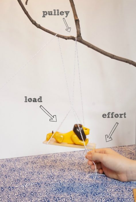 Simple Machines Challenge for Kids - 3 Ways to Move a Lion