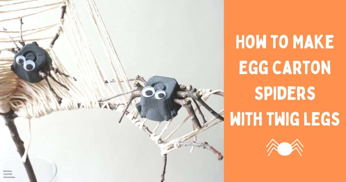Make Egg Carton Spider with Twig Legs