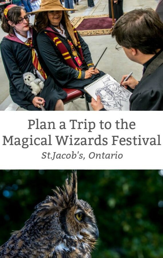 Plan a Trip to the Magical Wizards Festival