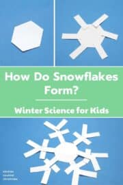 How Do Snowflakes Form? Step-By-Step Activity