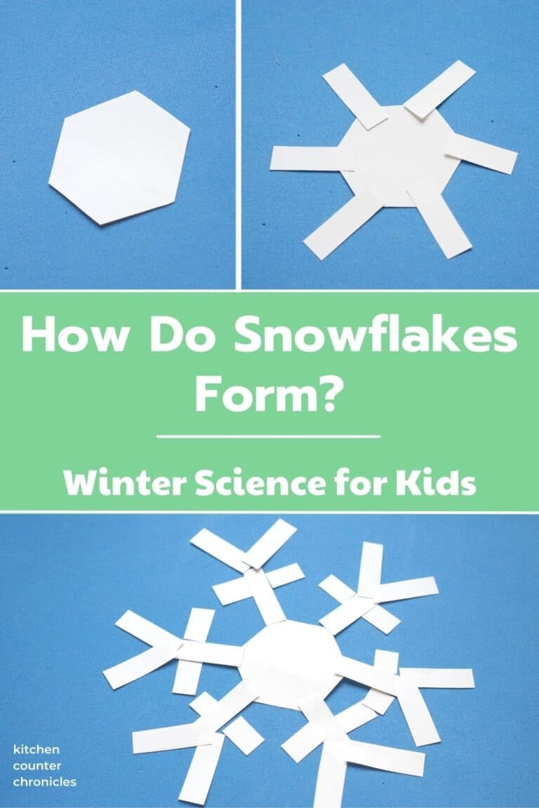 How Do Snowflakes Form? Step-By-Step Activity