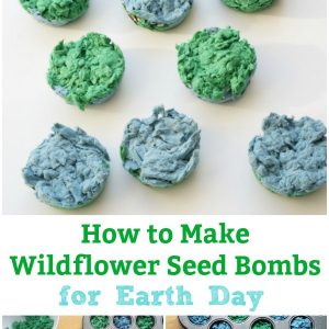 How to Make Seed Bombs For Earth Day