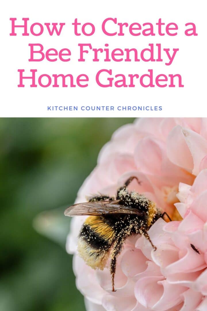 How to Create An Awesome Bee Garden at Home