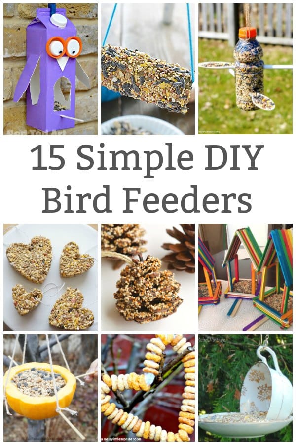15 Simple Bird Feeders To Make With Kids