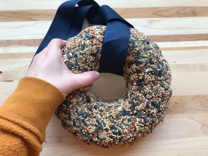 How to Make A Birdseed Wreath