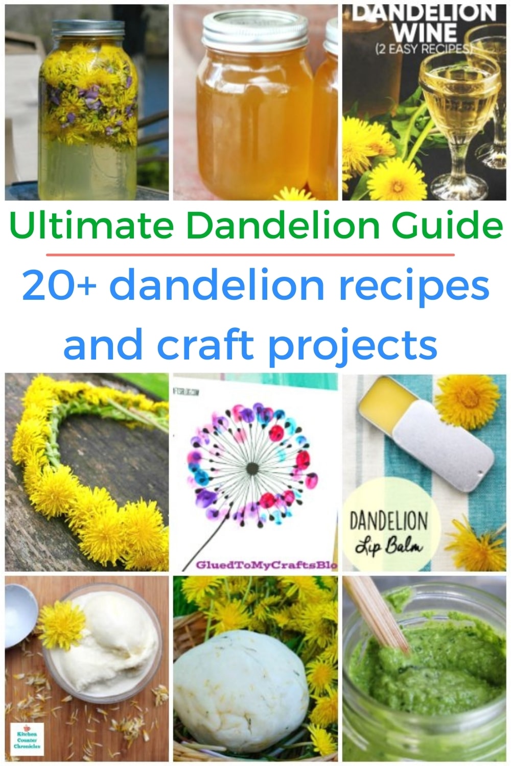 20+ Dandelion Recipes and Dandelion Crafts