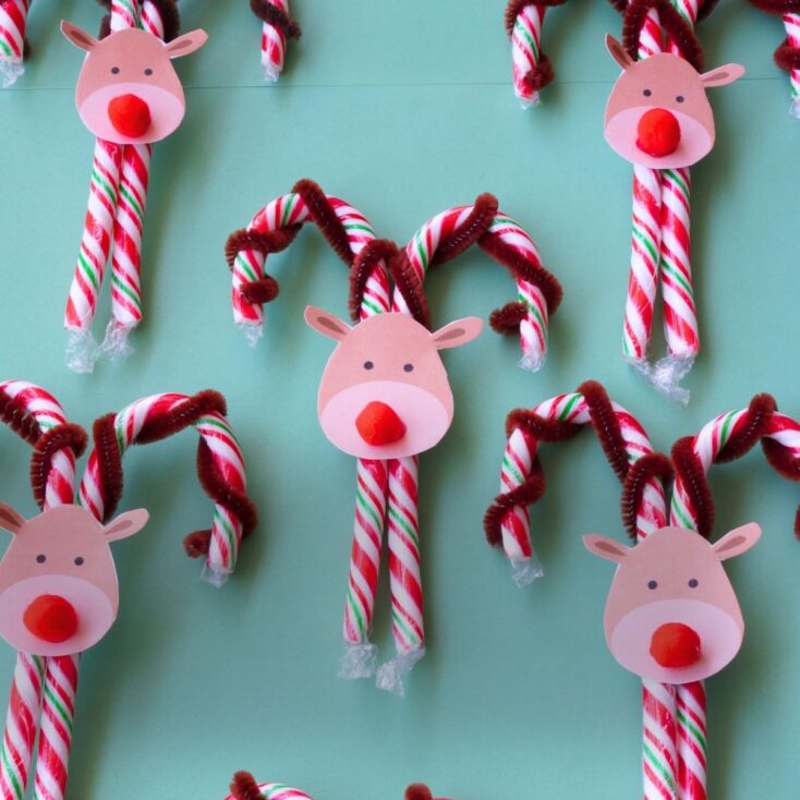 Easy Pipe Cleaner Candy Cane Craft