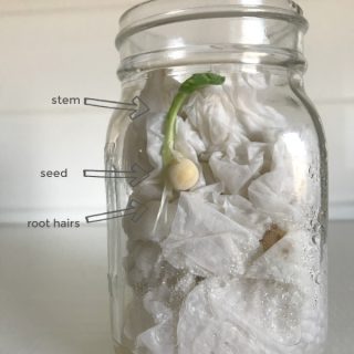 Stem Activities for Kids