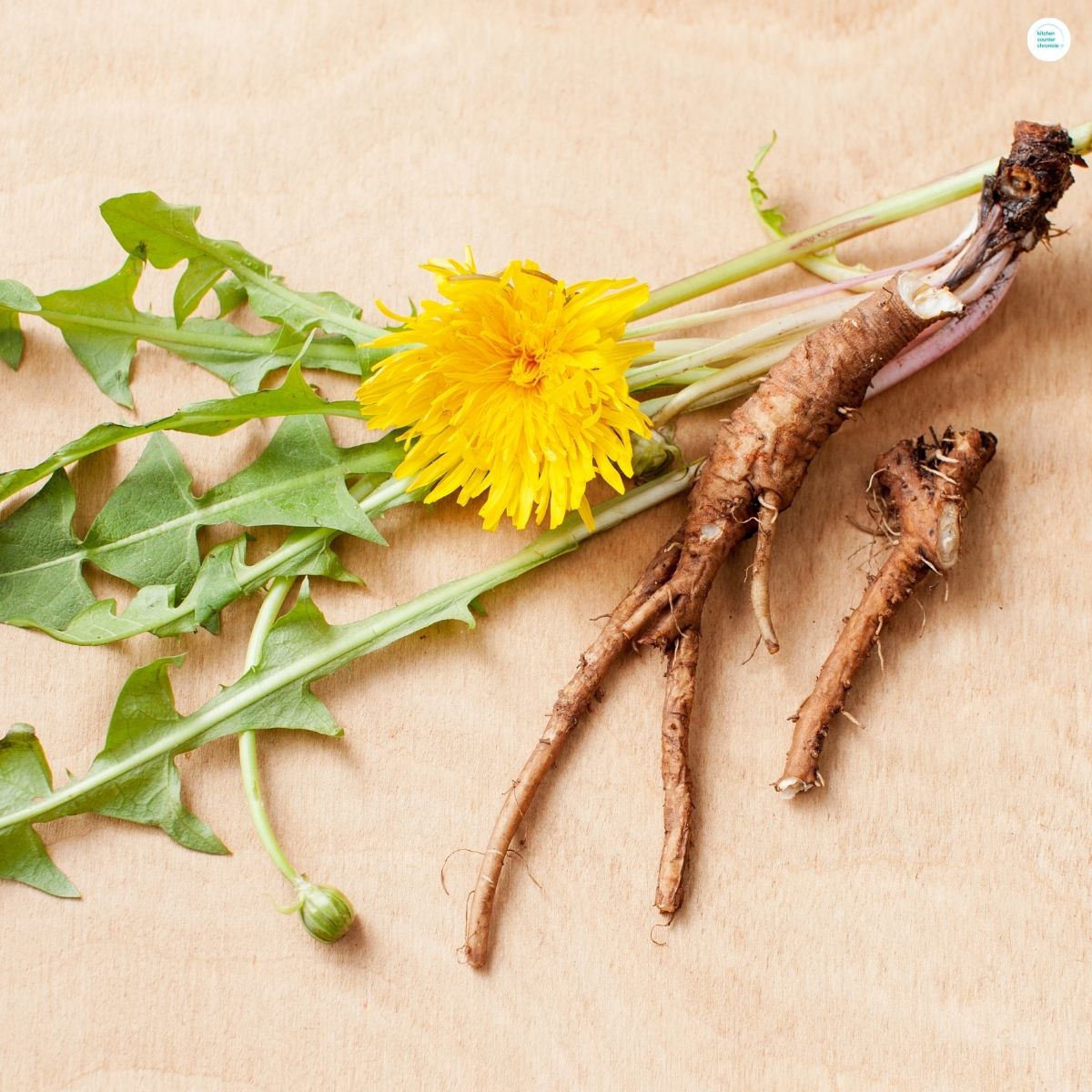20+ Dandelion Recipes and Dandelion Crafts Guide