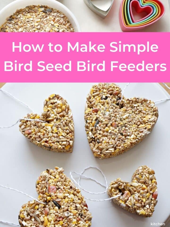 Christmas for Birds - How to Make Popcorn Garland for Birds