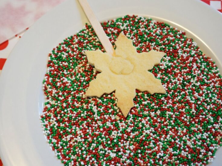 Fun Christmas Cookies for Kids - Christmas Cookie Pops