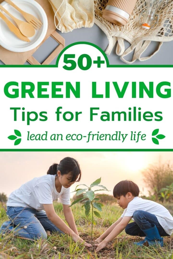 Green Living Ideas
