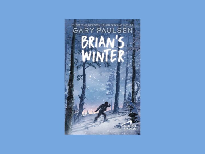 Winter Chapter Books for Kids