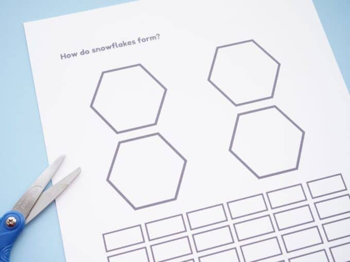 How Do Snowflakes Form? Step-By-Step Activity