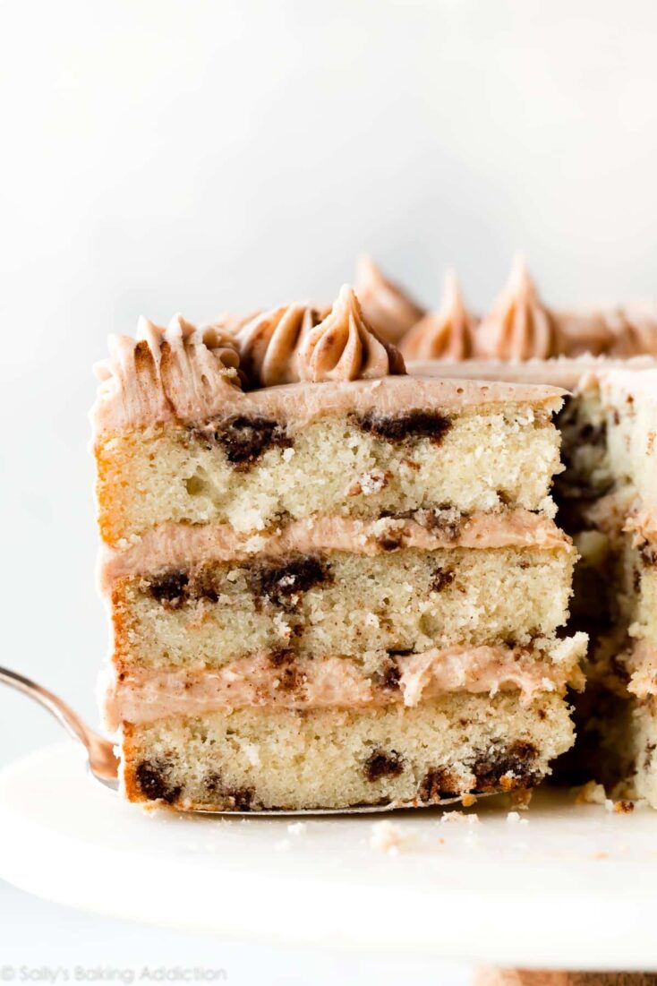 20+ Easy Cake Recipes for Birthdays, Holidays and More