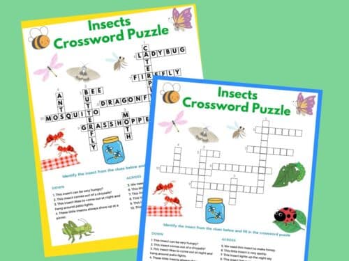 3 Printable Insect Word Games for Kids