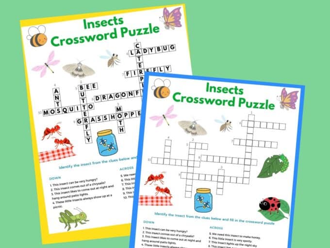 3 Printable Insect Word Games for Kids