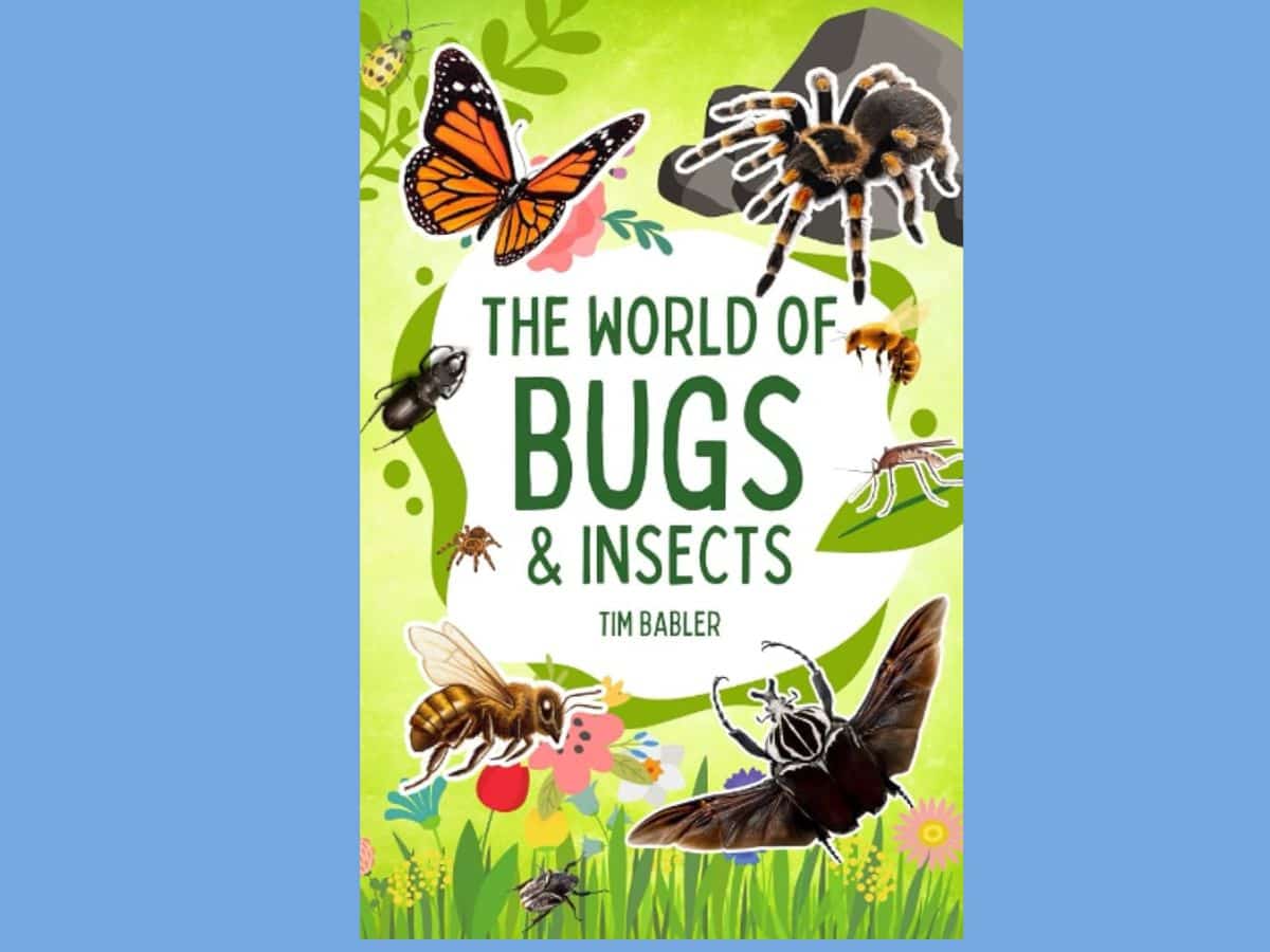 3 Printable Insect Word Games for Kids