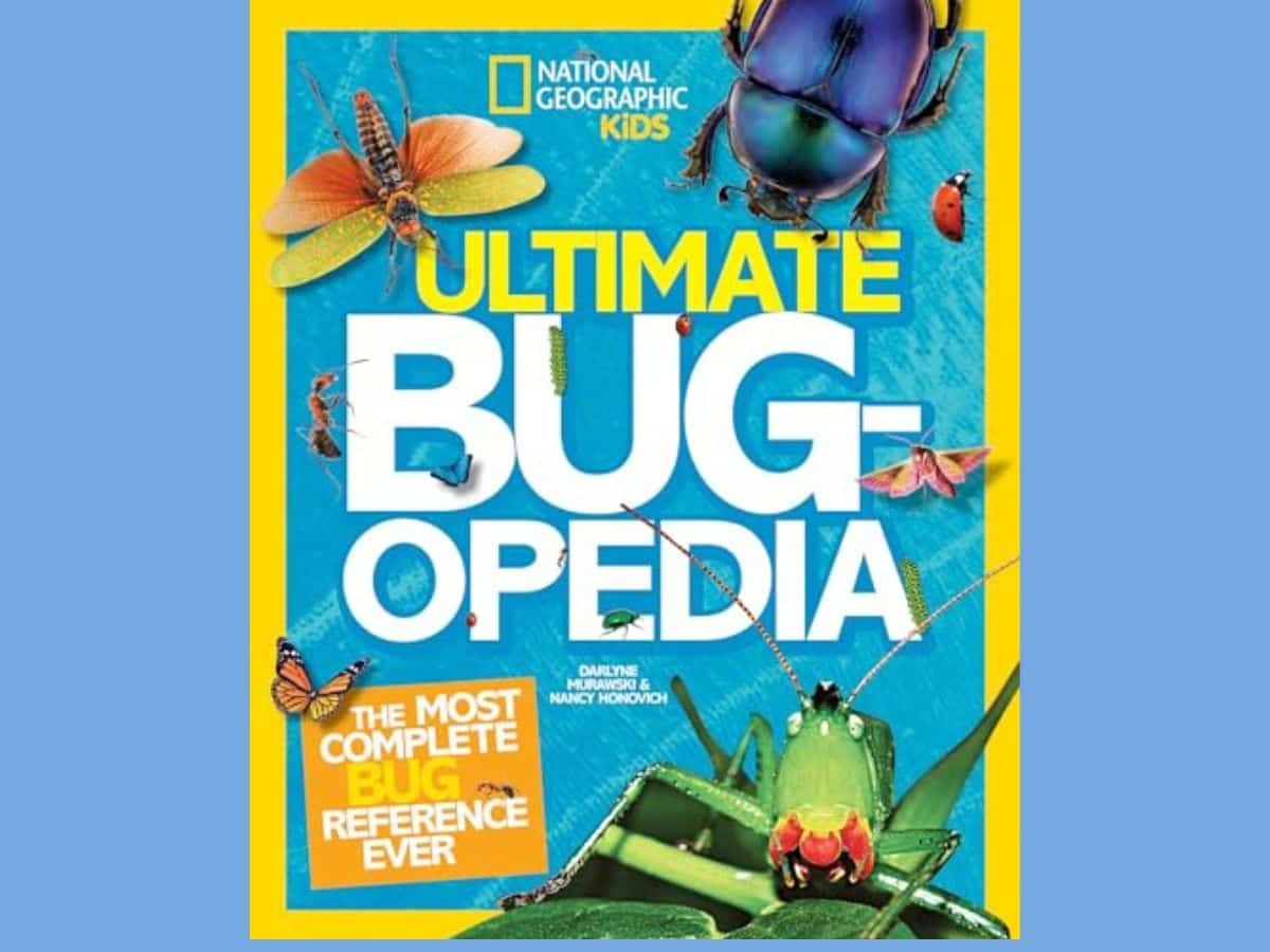 3 Printable Insect Word Games for Kids