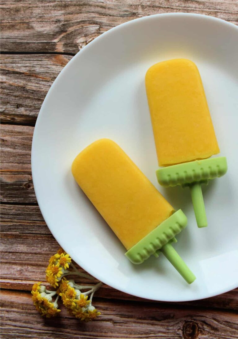 Refreshingly Delicious Summer Popsicle Recipes