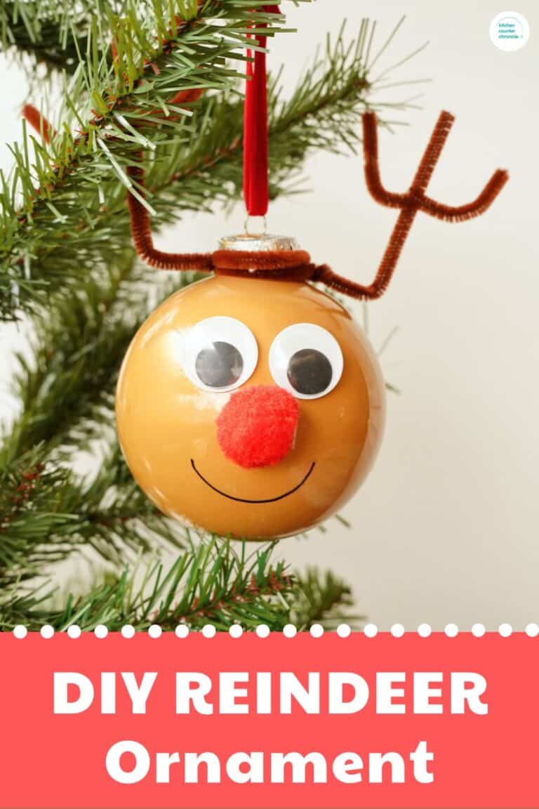 Cute Reindeer Ornament Craft