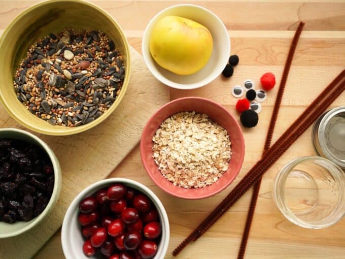 Reindeer Food Recipe Safe for Birds and Wildlife
