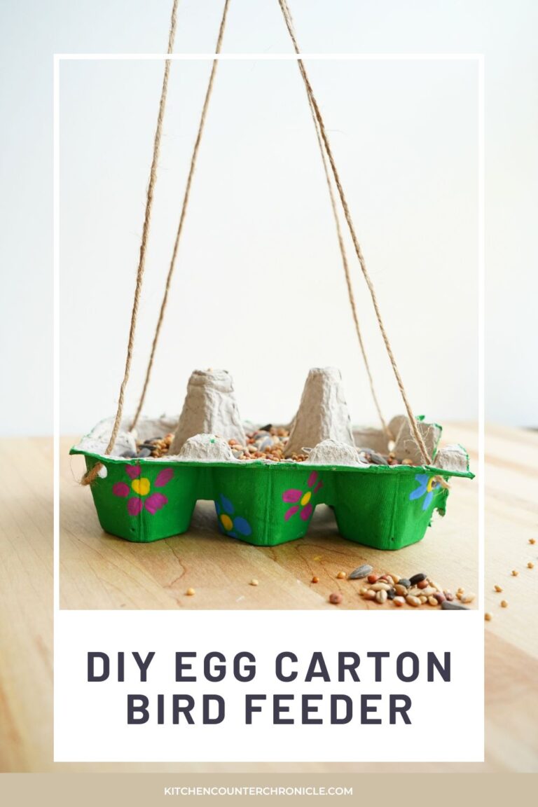 Easy Egg Carton Bird Feeder Craft