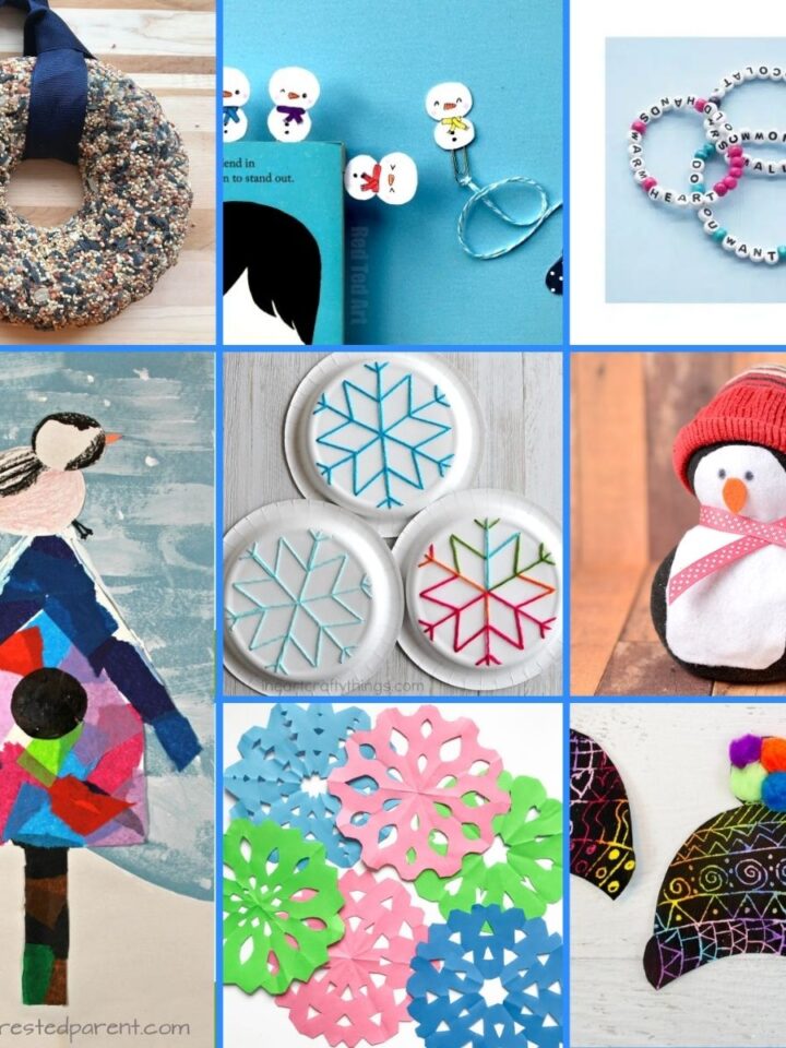 20+ Winter STEM Activities for Kids - Hands On Science