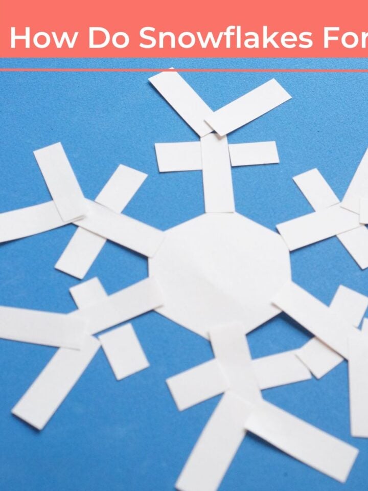 20+ Winter STEM Activities for Kids - Hands On Science