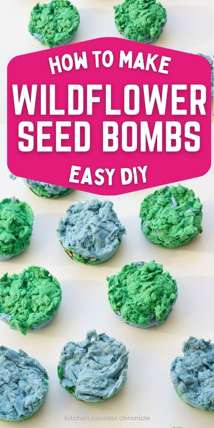 How to Make Seed Bombs For Earth Day